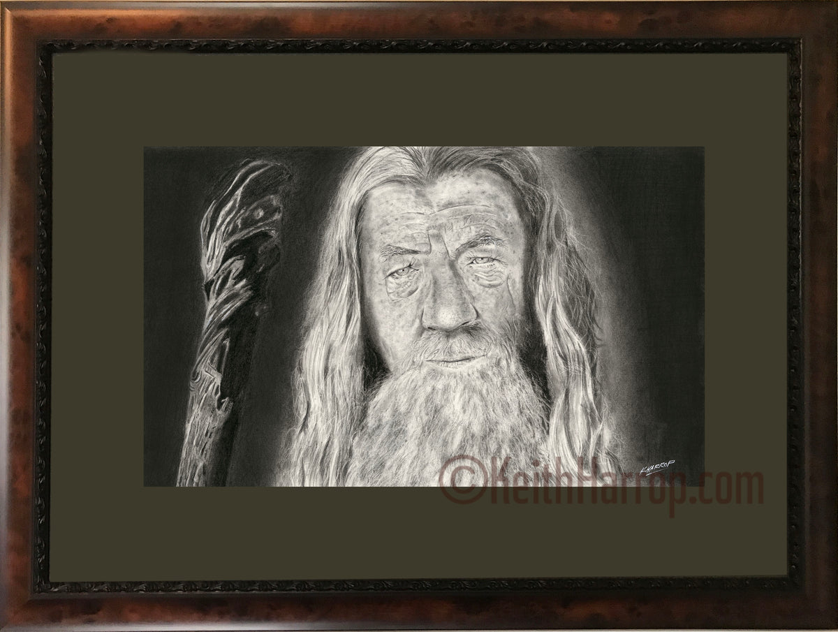 Gandalf - Pencil Illustration